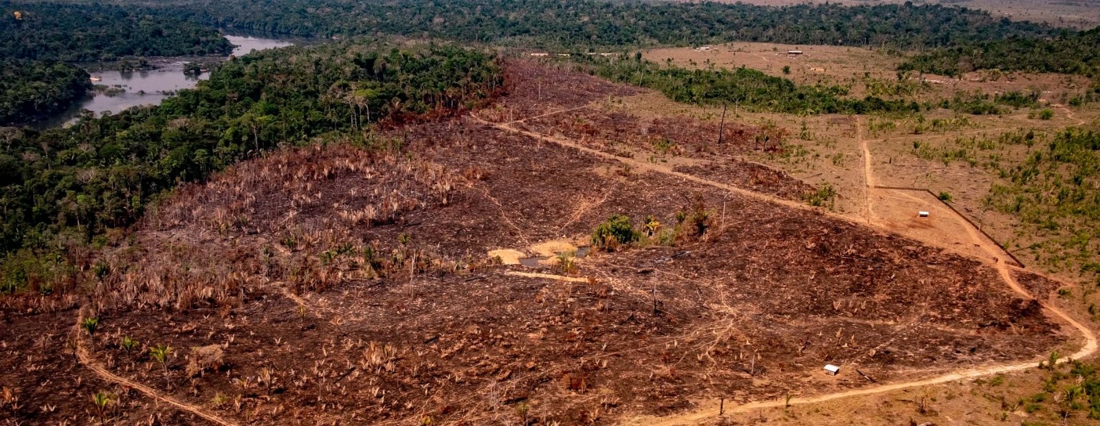 Dünya savaşında bir çocuk – Dilan Kılıç – Kadın Savunması